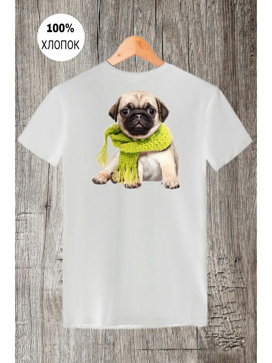Футболка животные собака мопс в шарфе dog