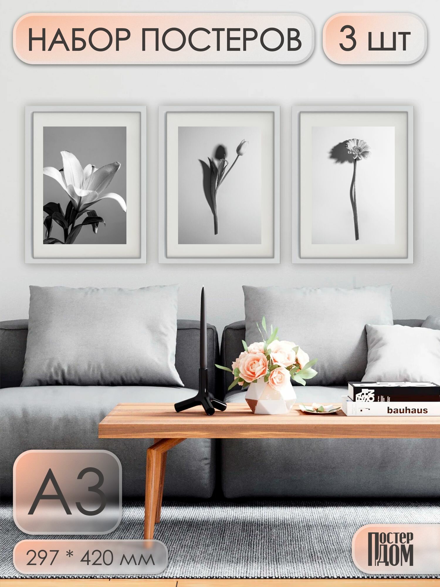 Постеры интерьерные на стену эстетика черно-белого стиля