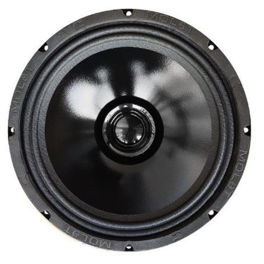 Динамики URAL Molot AS-M250, Колонки автомобильные, Акустическая система для авто, Аудиосистема в машину, 10 дюймов, мощность 300 Вт, частотный диапазон 55 - 10000 Гц, 2 шт