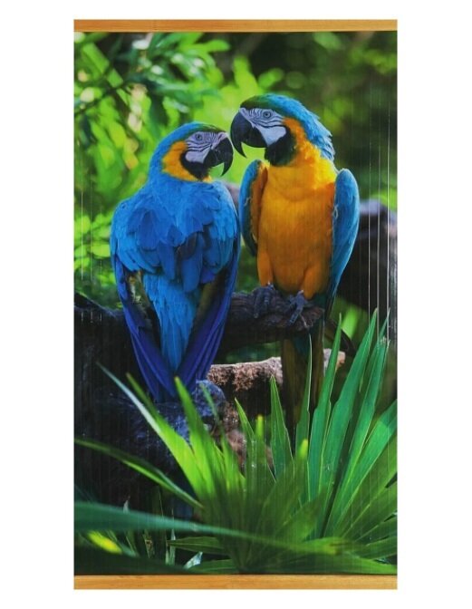 Инфракрасный настенный обогреватель Домашний очаг, Попугаи