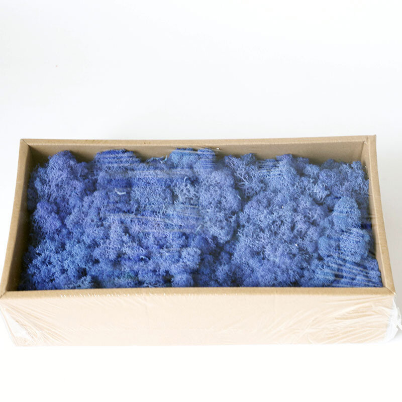 Вечный мох Flowers Remain, королевский синий, 500 г, стеклянная крышка