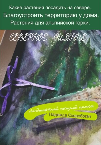 Северное сияние [Цифровая книга]