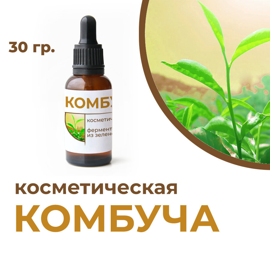 Комбуча (комбучка) косметическая, 30 гр, ферментированная из зеленого чая