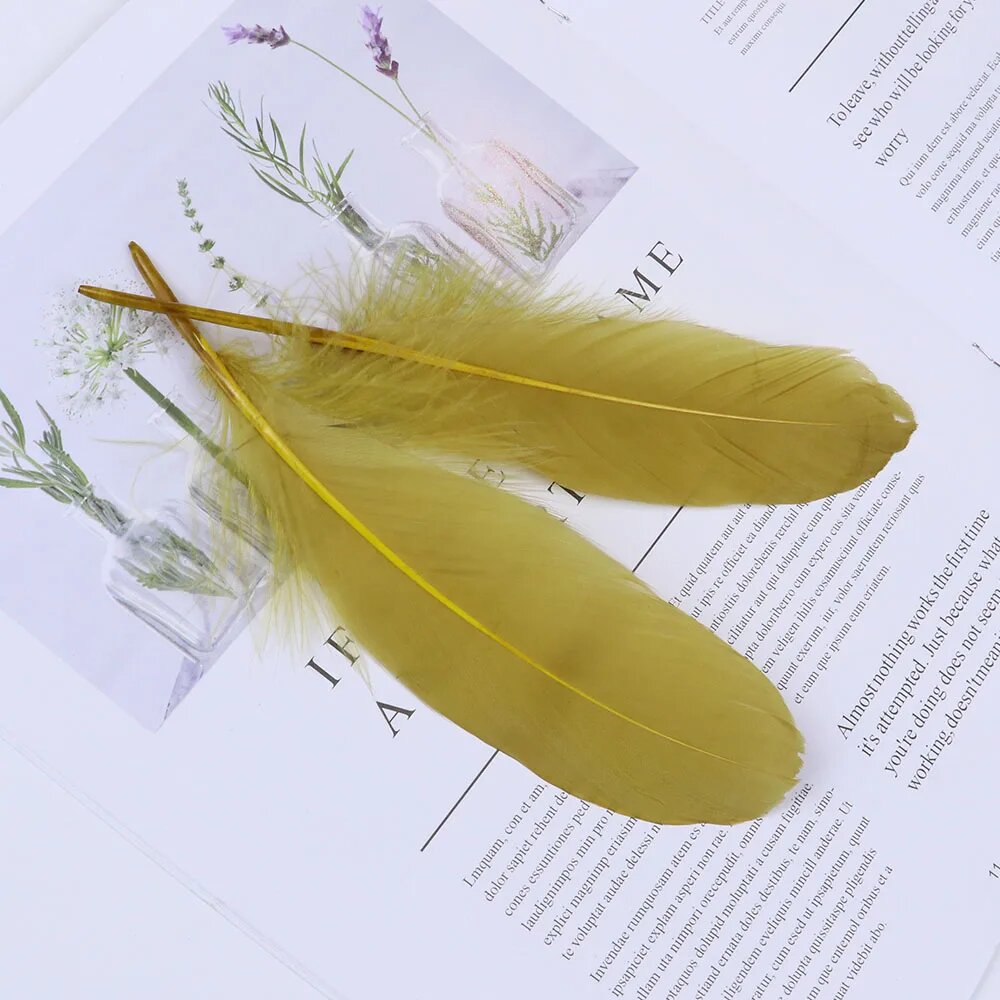 Натуральные гусиные перья LZA FENGJ 15-20 см 20