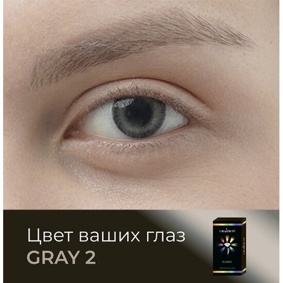 Контактные линзы Okvision Fusion (2 шт/ -5.50/8.6/14.0) Gray (2)