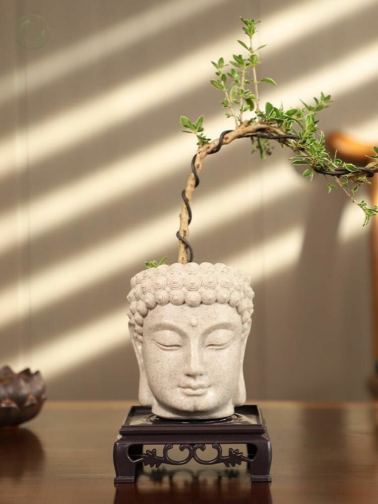 "Плантатор Дзен - Белый Нефрит