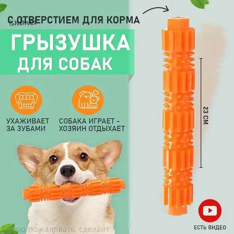 Добро пожаловать, сделайте заказ. Игрушка грызунок для собак, грызак для зубов собаки, жевательная игрушка