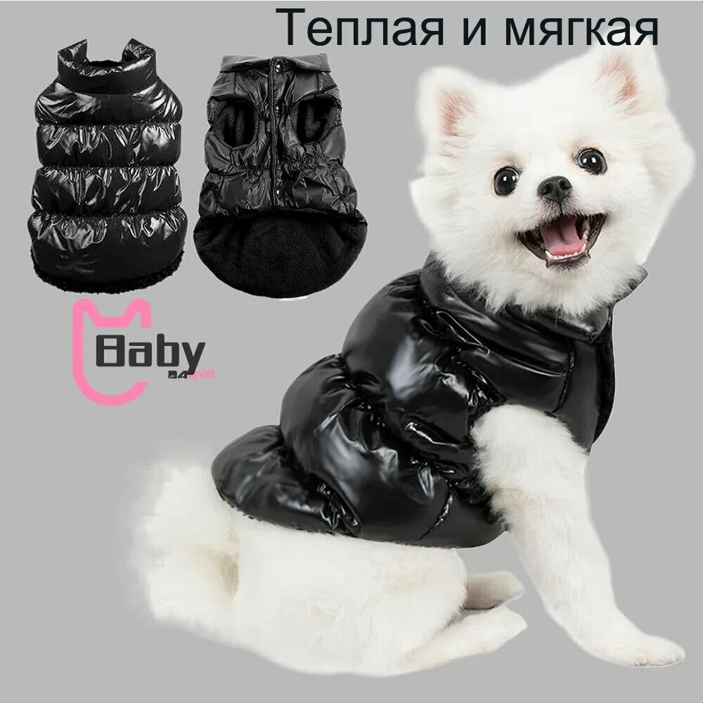 Одежда для животных
