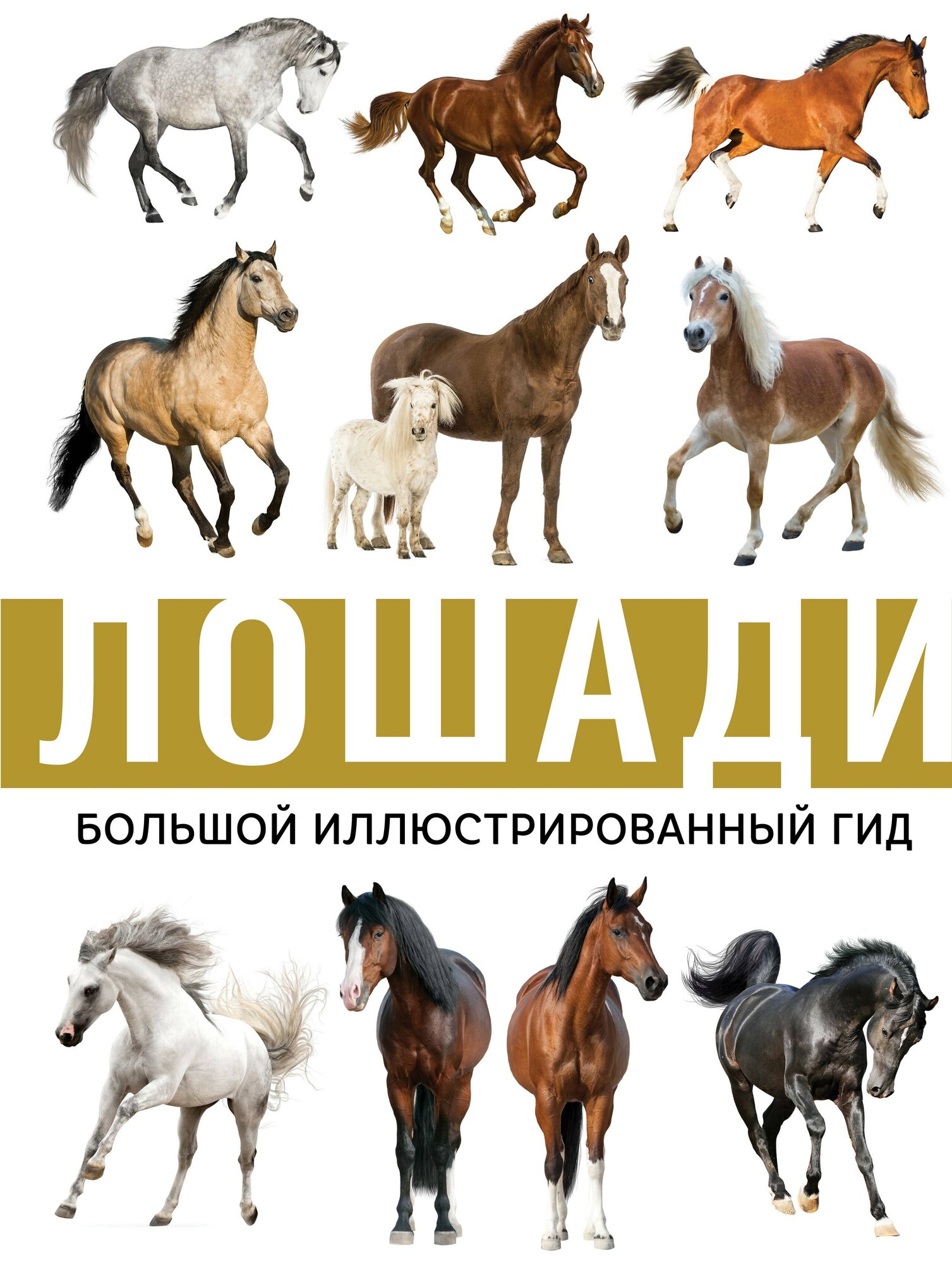 Лошади (Анна Спектор)