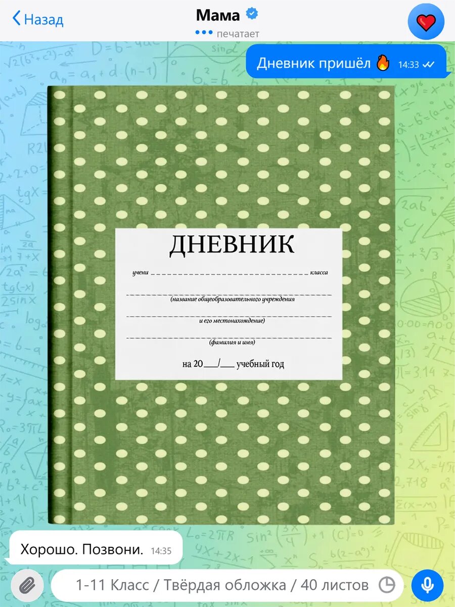 Школьный дневник с принтом y2k pinterest