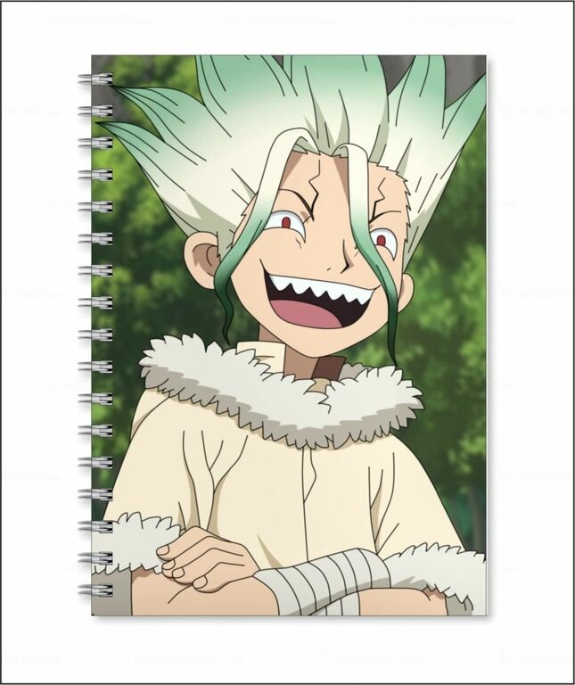 Тетрадь доктор стоун, DR. STONE №3, А6