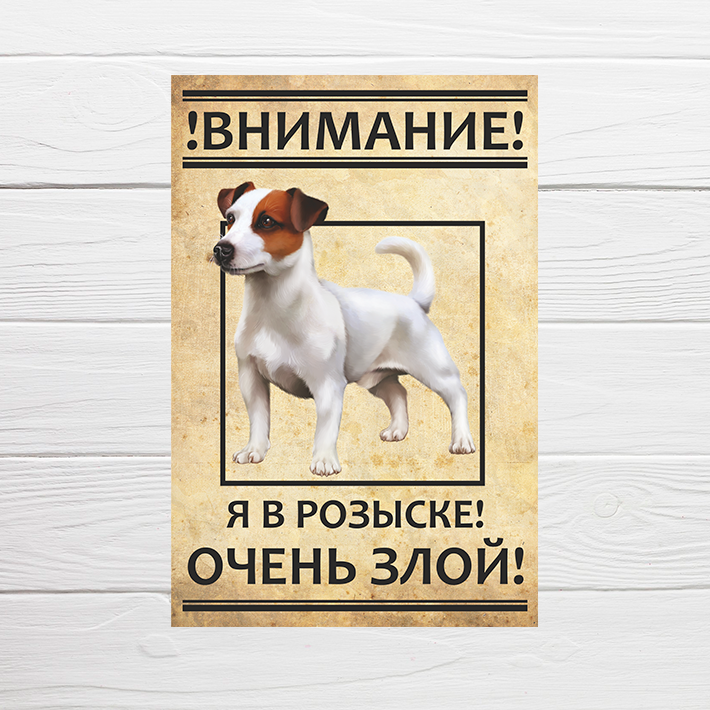 Табличка "Я в розыске, очень злой", 36х24 см, ПВХ