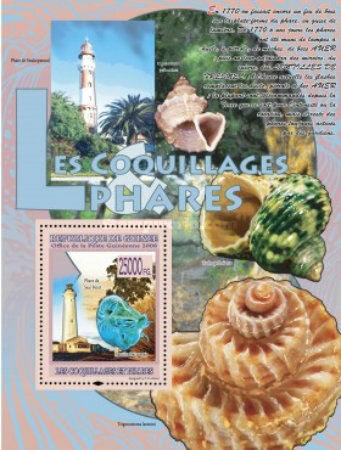 Почтовые марки Гвинея 2008г. "Фауна - Ракушки и Маяки" Ракушки, Маяки MNH