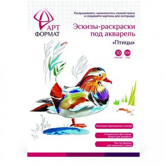 Раскраска-эскиз Артформат птицы 10 листов А4 акварельная бумага, 200 гр, в папке