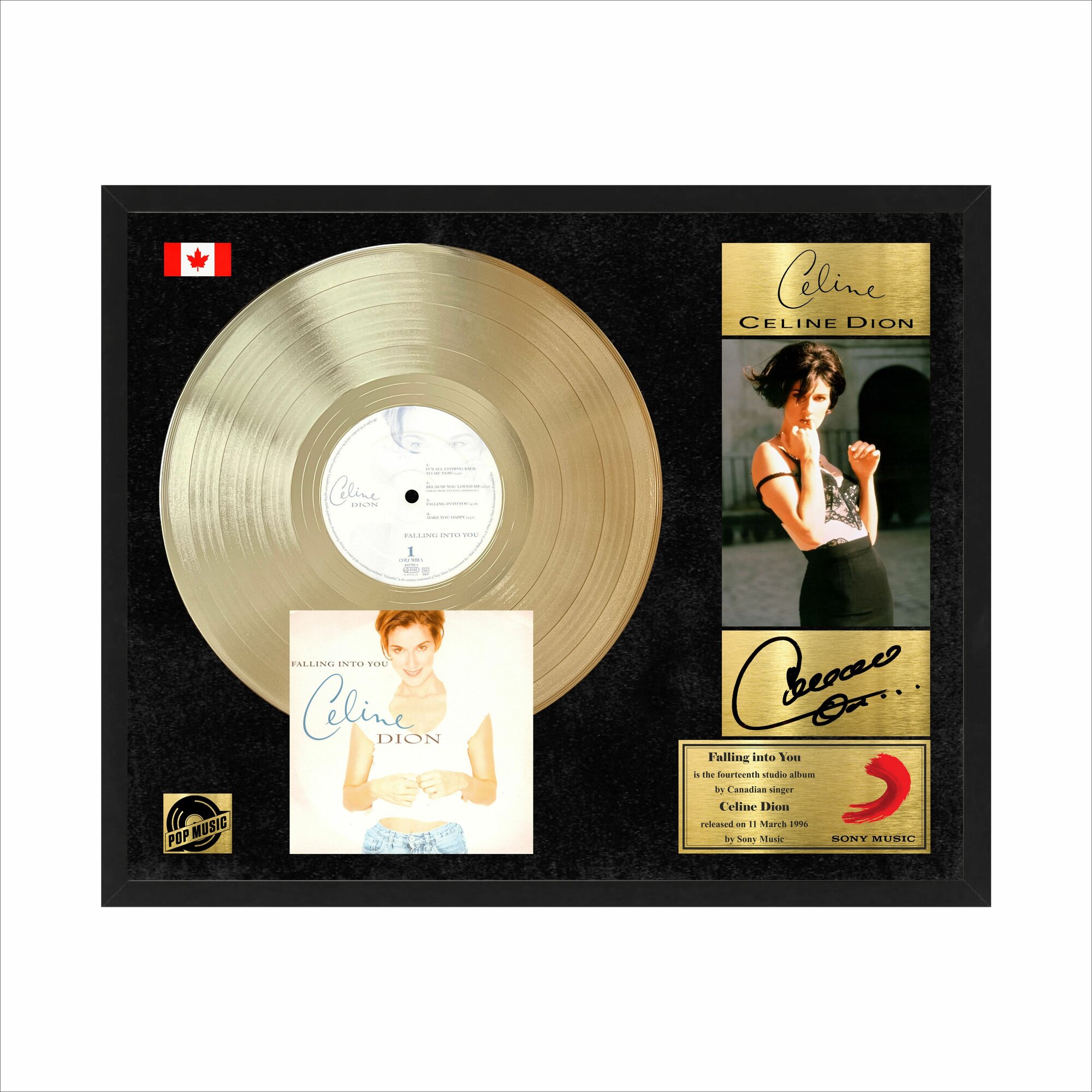 Celine Dion Картина с золотым диском