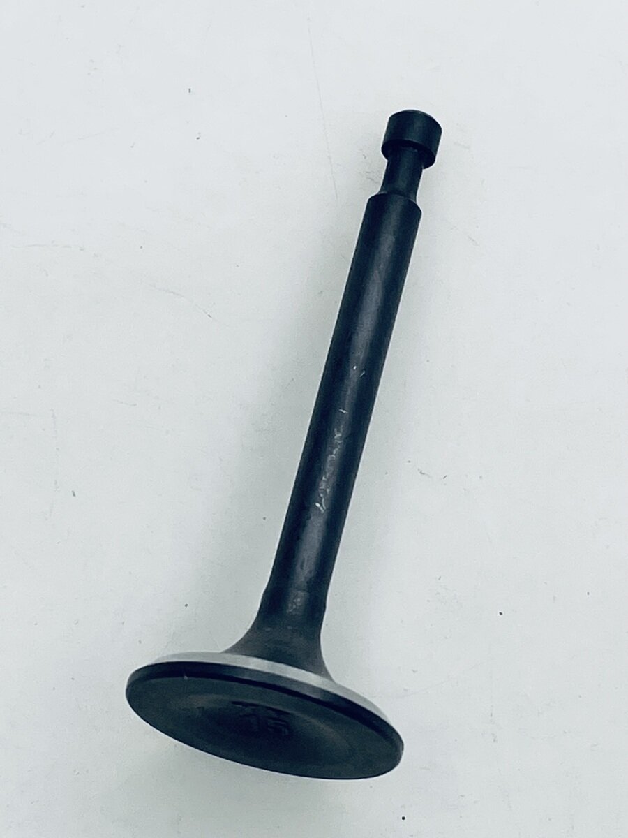 Клапан впускной поз. 61 Patriot PT 52LS 005510543 №11