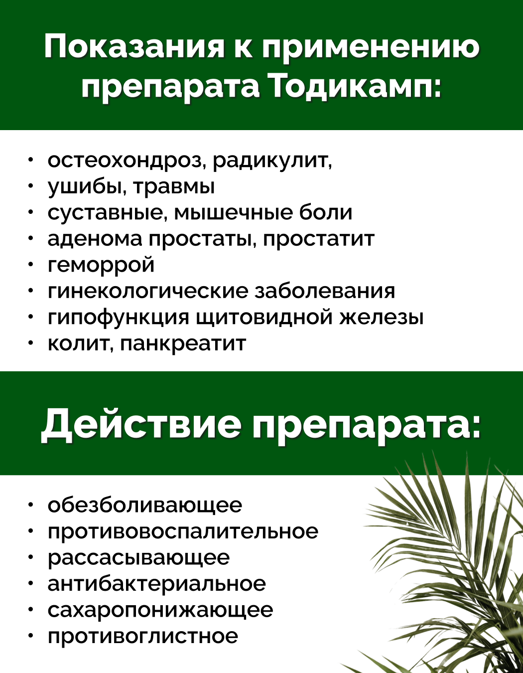 Тодикамп - экстракт грецкого ореха молочной спелости, 1 флакон, 250 мл — фото 1