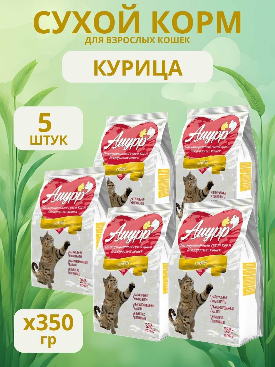 Корм для кошек сухой Амурр полнорационный, Курица 350 гр / 5 шт