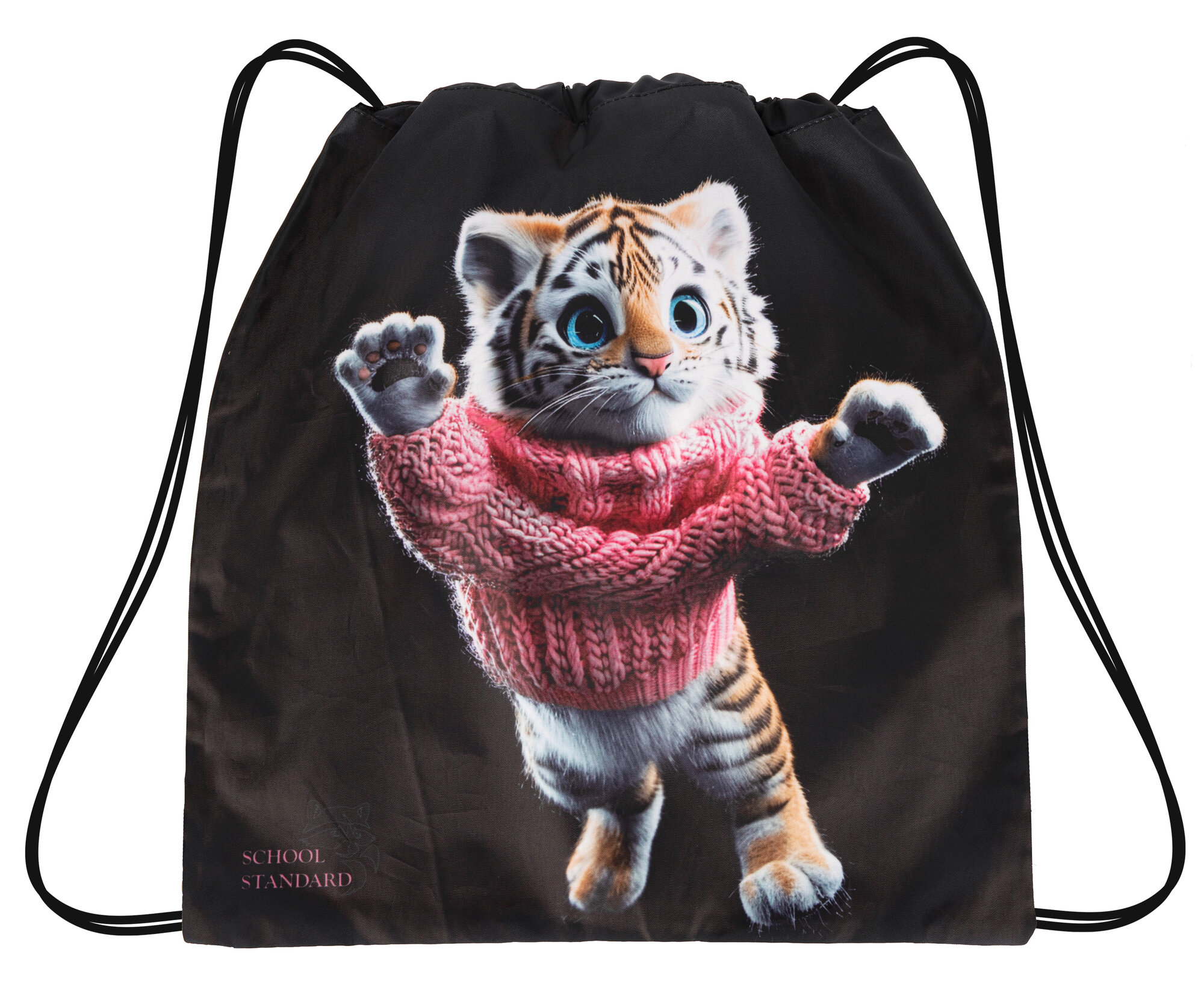 Мешок для сменки школьный для девочки School Standard(Скул Стандарт)