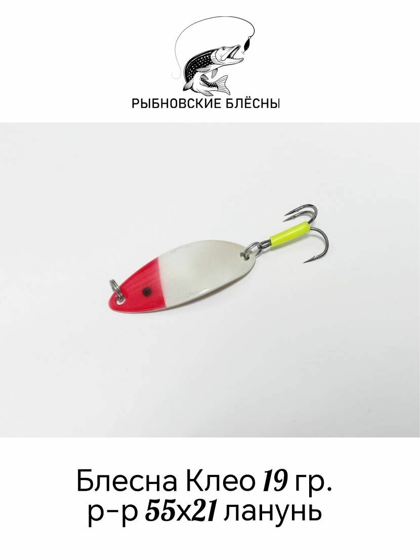 Блесна для рыбалки Клео 19 гр. колеблющаяся р-р 55х21 из латуни