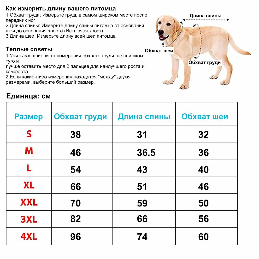 Одежда для животных — фото 1