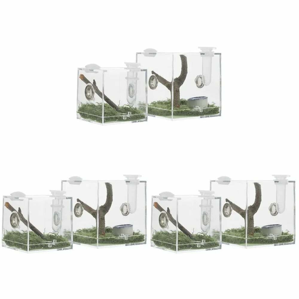 Акриловый бокс для разведения пауков и насекомых, прозрачный террариум для пауков-скакунов, 6 штук