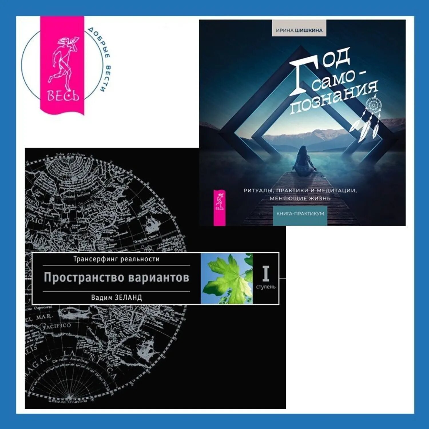 Год самопознания: Ритуалы, практики и медитации, меняющие жизнь. Трансерфинг реальности. Ступень I: Пространство вариантов [Аудиокнига]