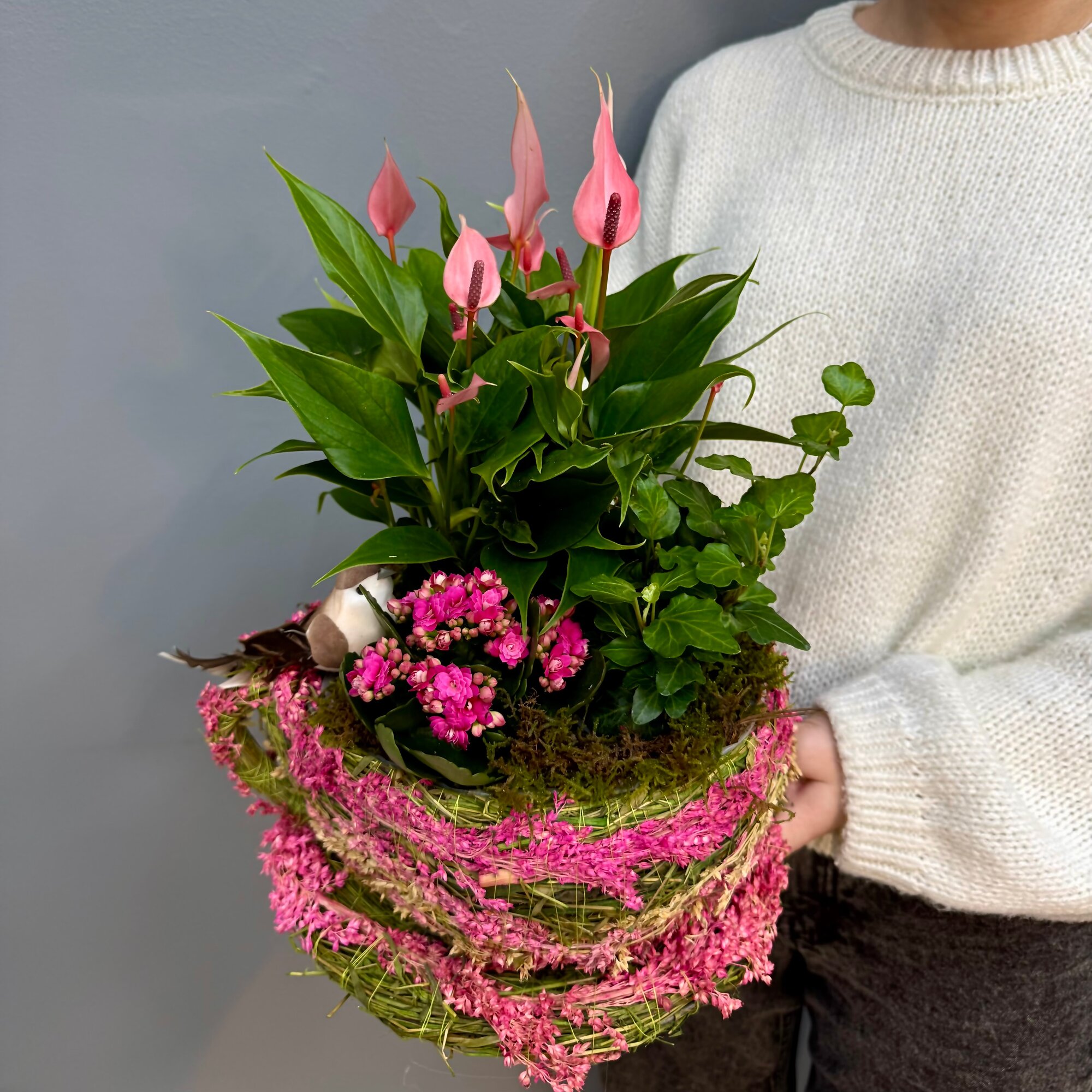 Композиция «Розовая весна» (Антуриум, Каланхоэ, Хедера) от бренда Margo Plants