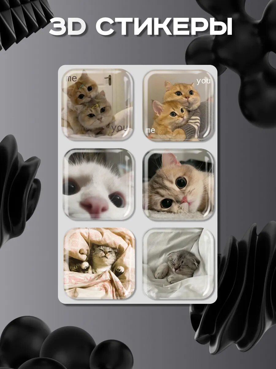 3д стикеры котята