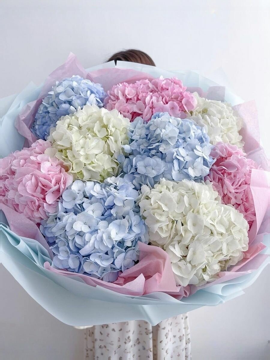 Букет из 9 гортензий