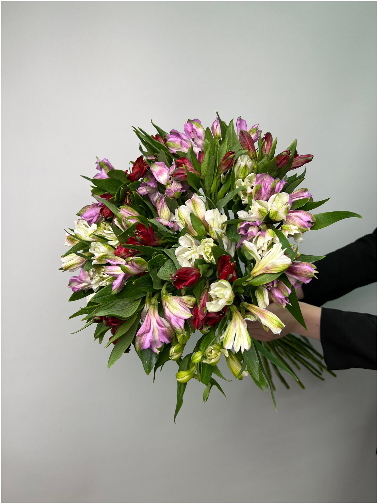 Букет цветов "Микс альстромерии" альстромерия, 25 шт, разноцветный, высота 60 см