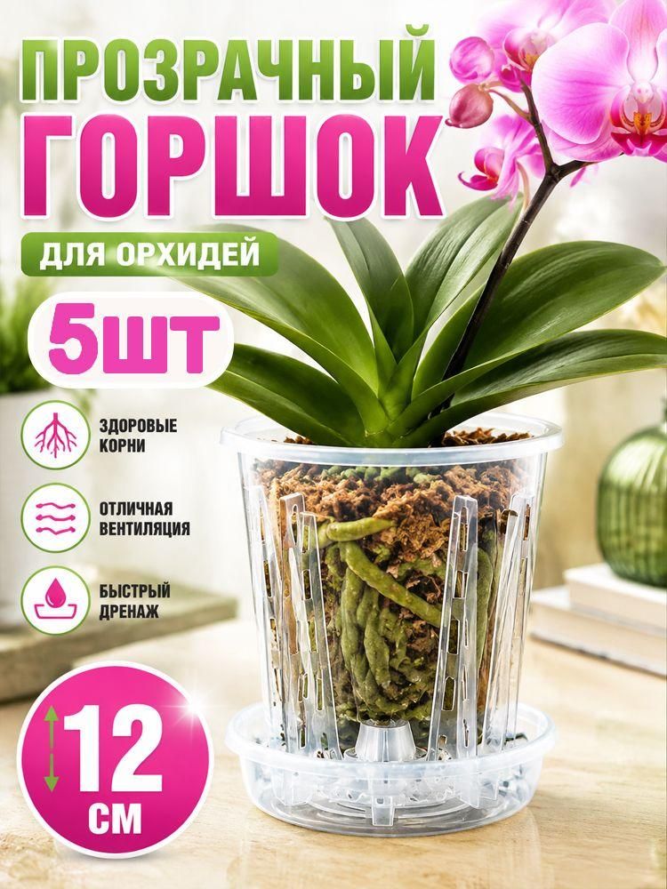 Вазон, 1 шт, цвет прозрачный