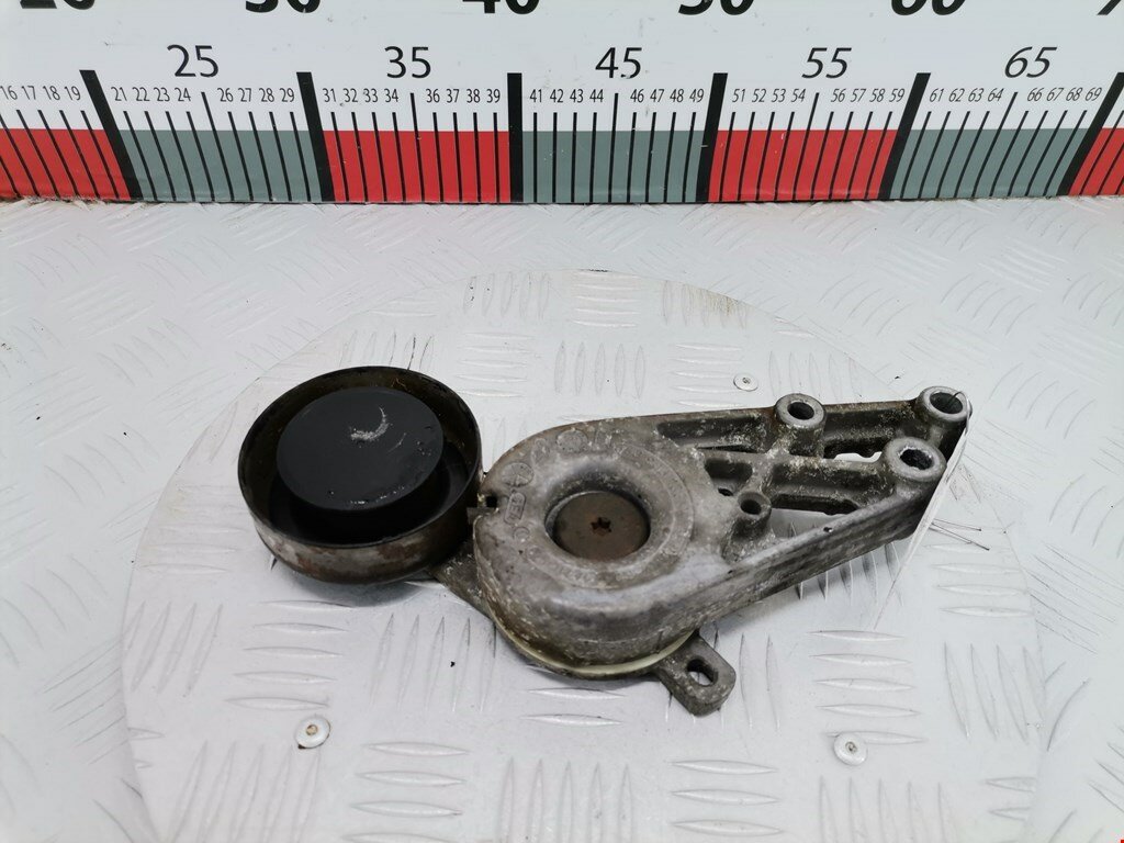 Натяжитель ремня генератора (приводного поликлинового ремня Audi A4 B5 058903133D арт. 1651163