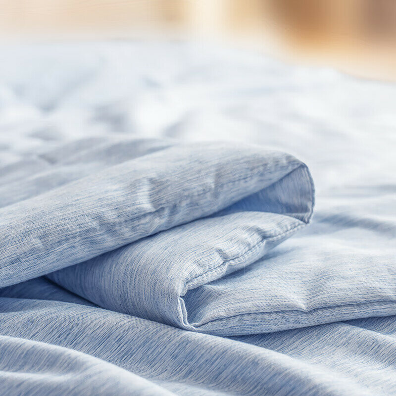 JD Jingzao Satin Fiber Comforter, Class A Machine Washable Woven Ultra-Soft Warm Quilt, 200cm X 230cm, Sky Blue
