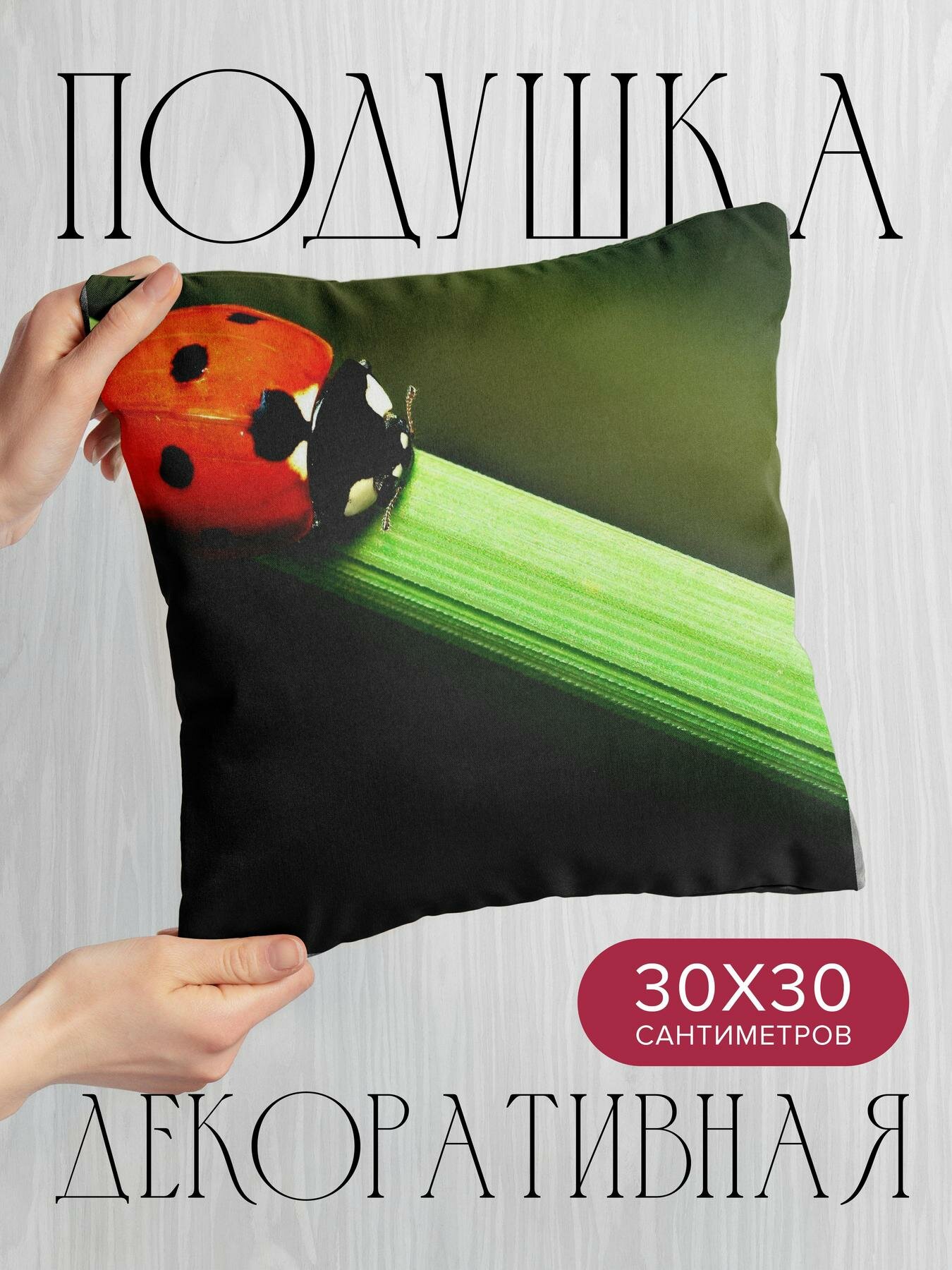 Подушка декоративная, 30x30см / Макро / божья коровка / трава