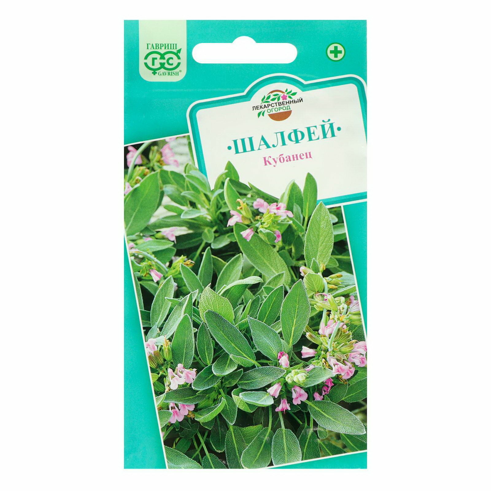 Семена Шалфей лекарственный"Кубанец", ц/п, 0.3 г, урожай: август - сентябрь