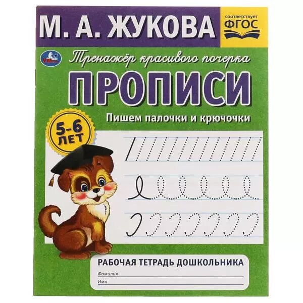 Рабочая тетрадь дошкольника с прописями. Пишем палочки и крючочки. 5-6 лет