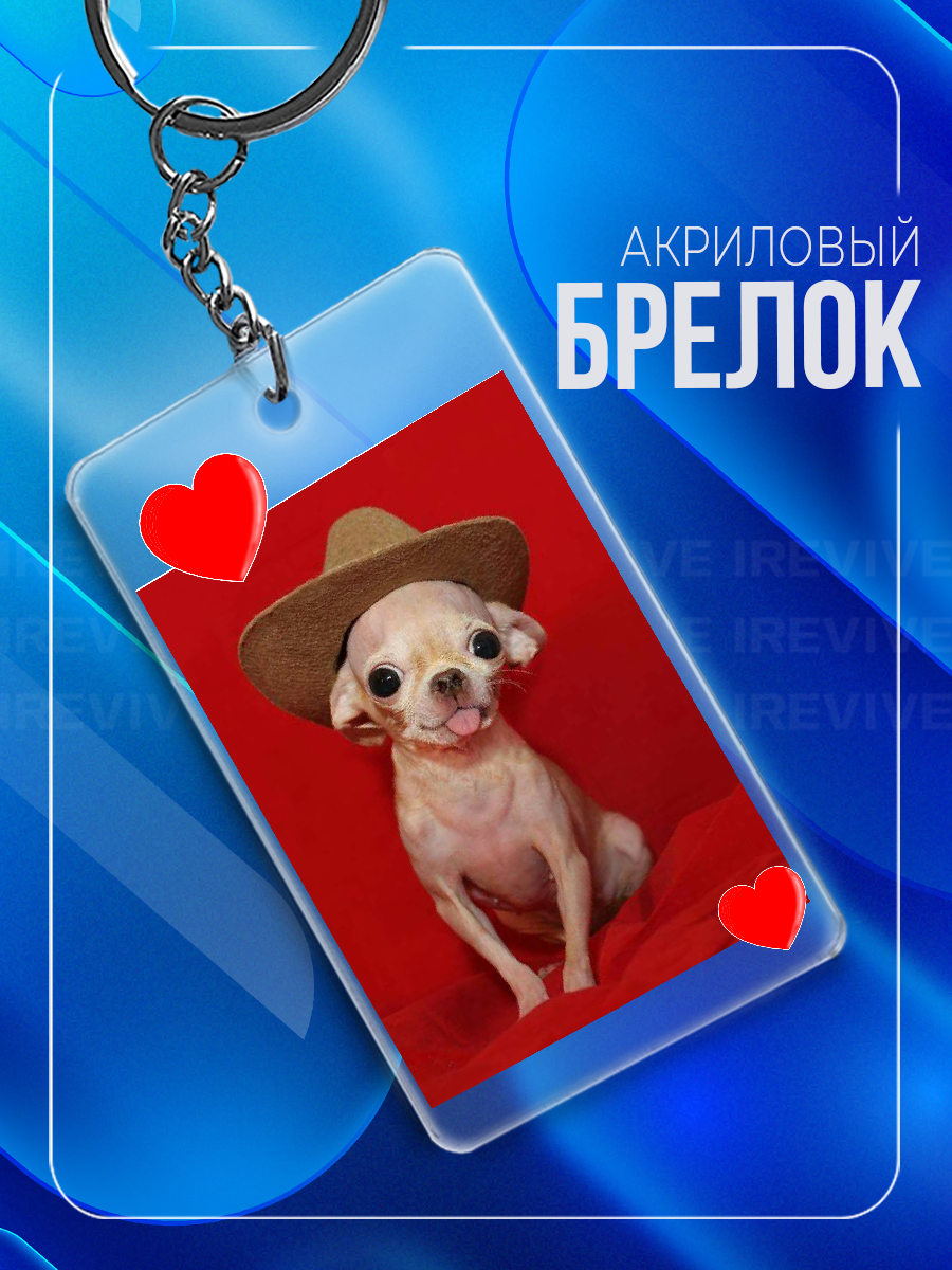 Брелок IREVIVE