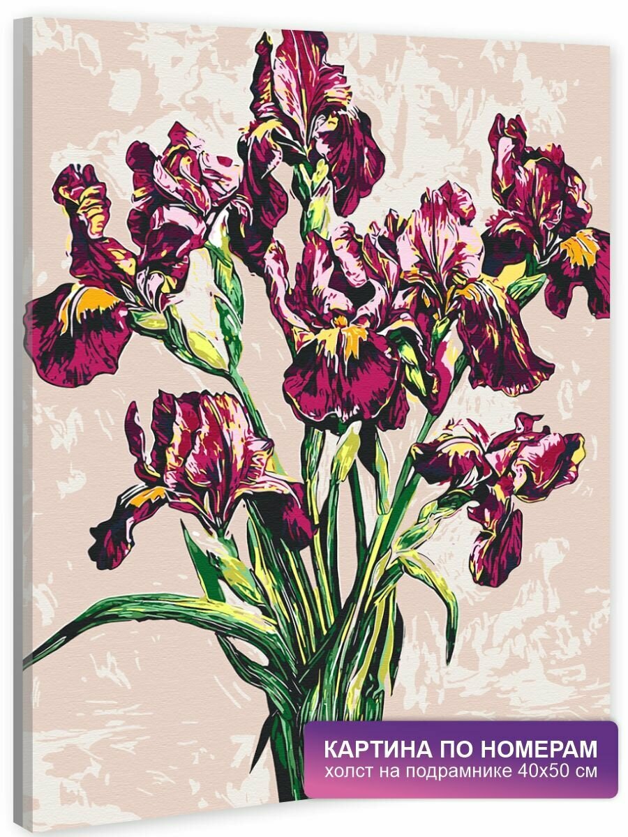 Картина по номерам на холсте с подрамником 40х50 см. Цветы, букеты. "Ирисы", арт. 5693/