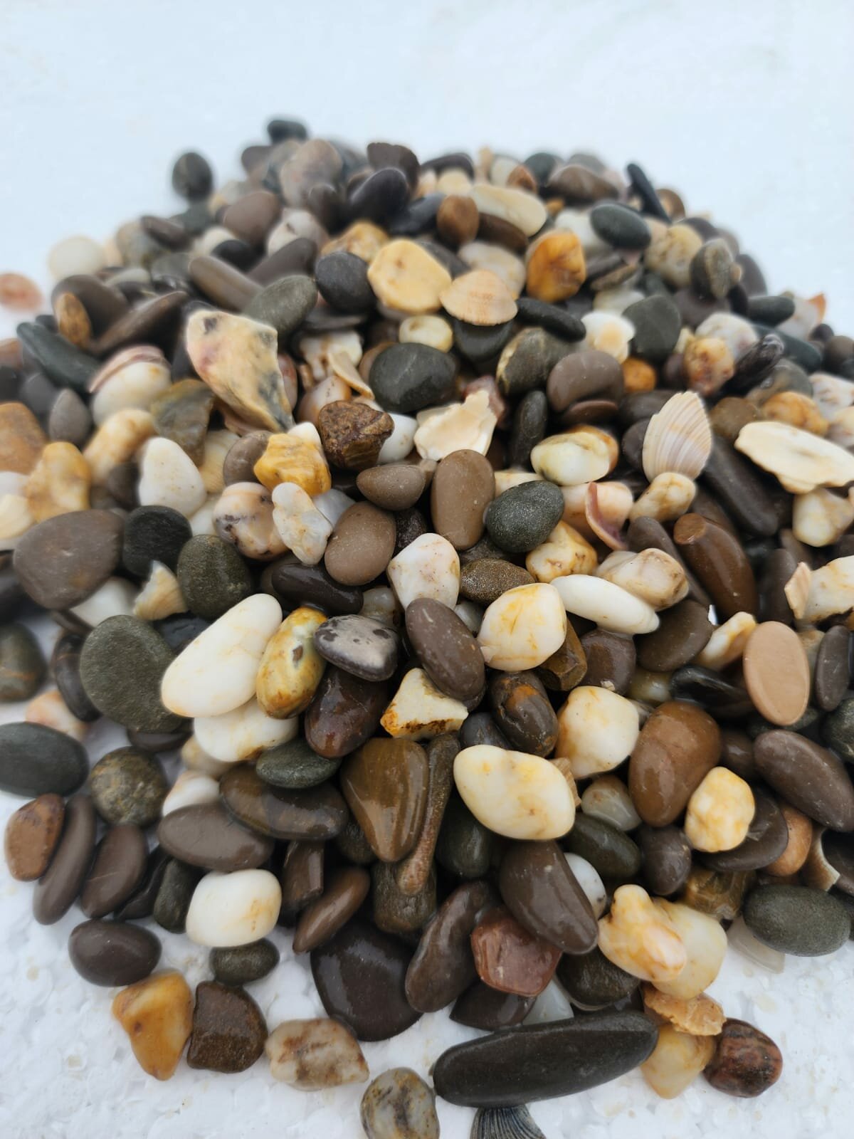 Галька крымская морская . грунт для аквариума с ракушками. фракция 5-10 мм. 5 кг.