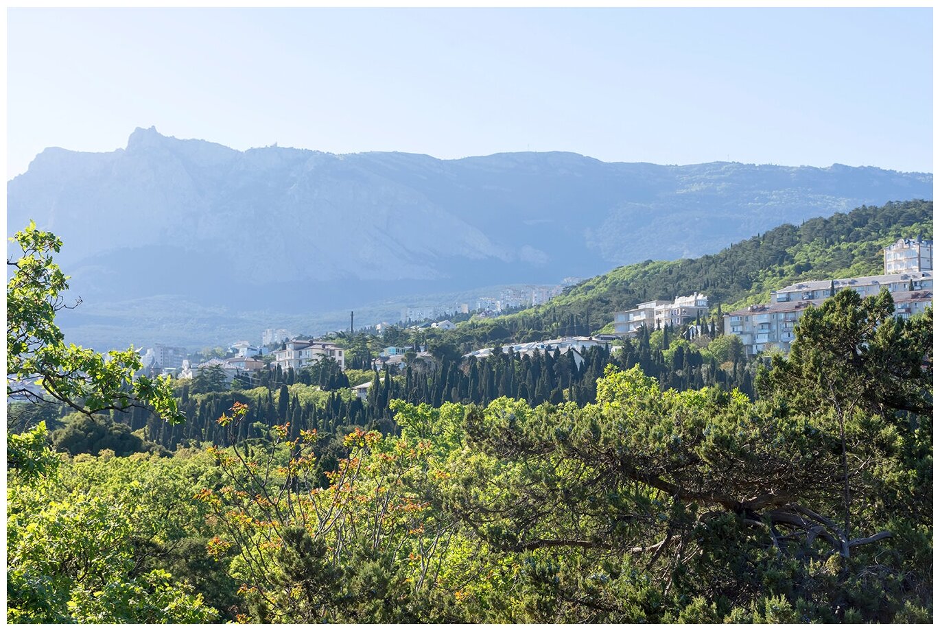 Фотообои Уютная стена "Зеленые пейзажи Крыма" 410х270 см Виниловые Бесшовные (единым полотном)