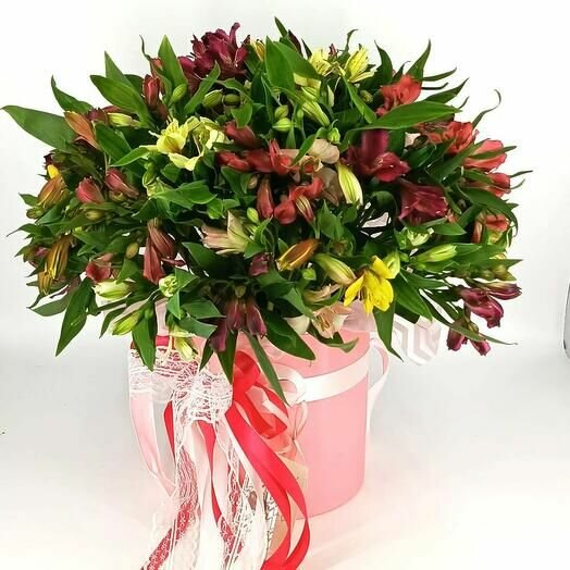 Цветы альстромерии в коробке,35 шт.