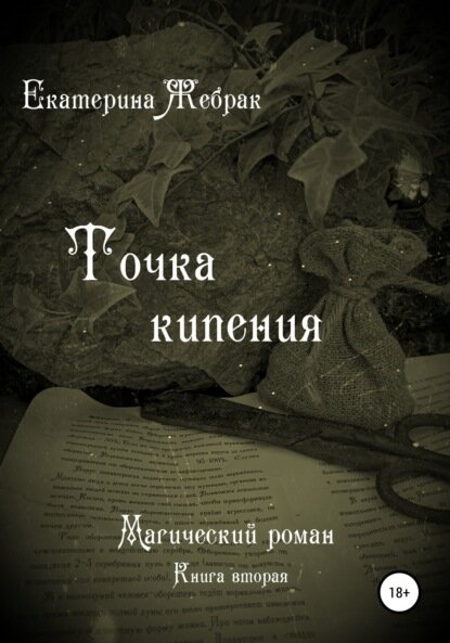 Точка кипения. Магический роман [Цифровая книга]