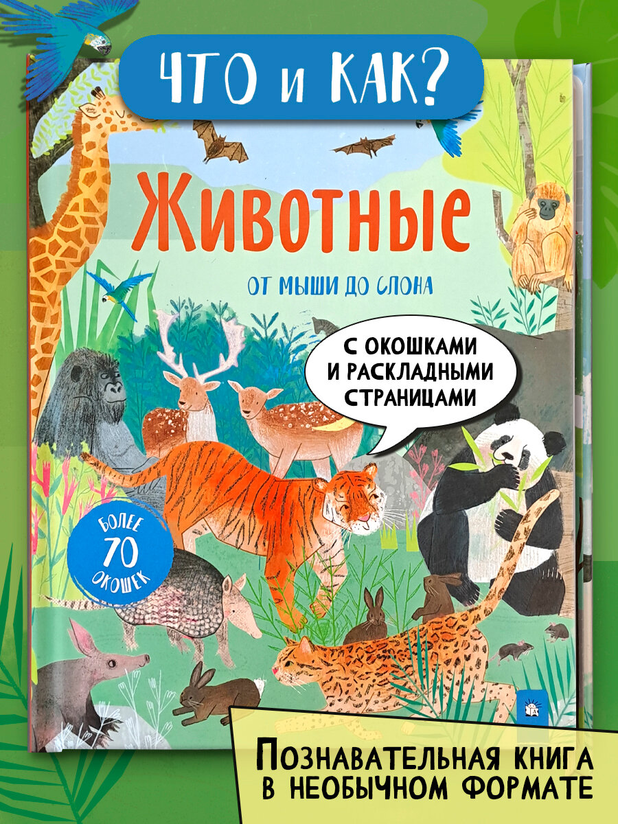 Животные. От мыши до слона