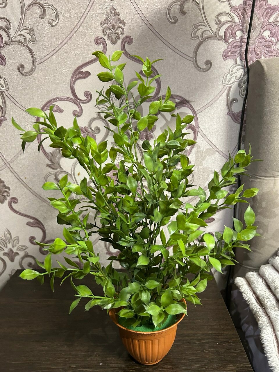 Искусственный куст Holodilova, рускус, пластик, зеленый, декоративный горшок, 47 см