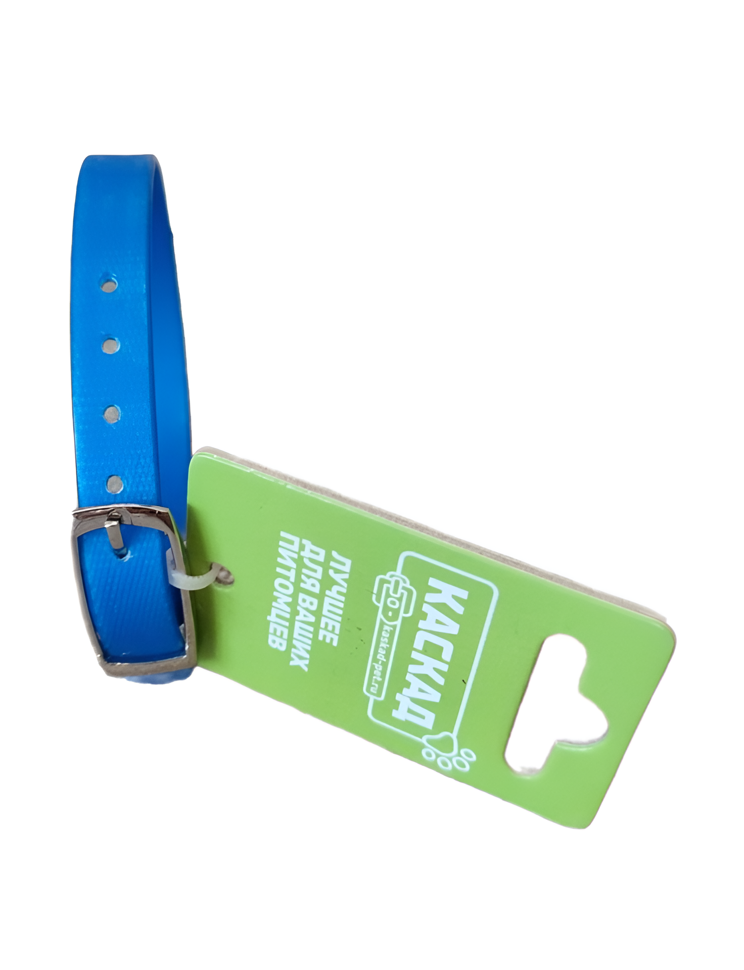 Ошейник для мелких собак и кошек, биотан, синий, 12мм, обхват шеи 20-24см