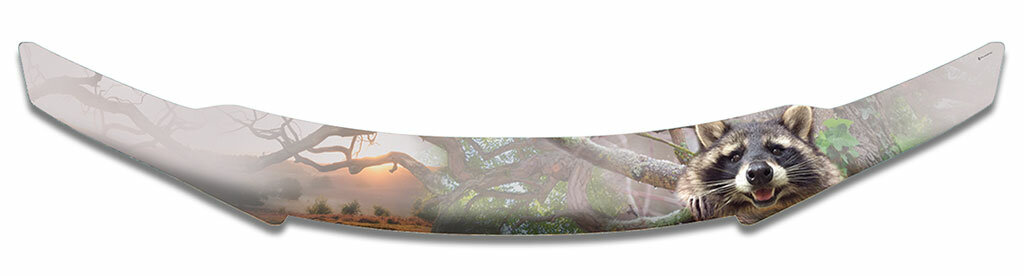 Дефлектор капота Серия "Полноцвет" Коллекция вариация 60 Nissan Note Год выпуска 2010-2014