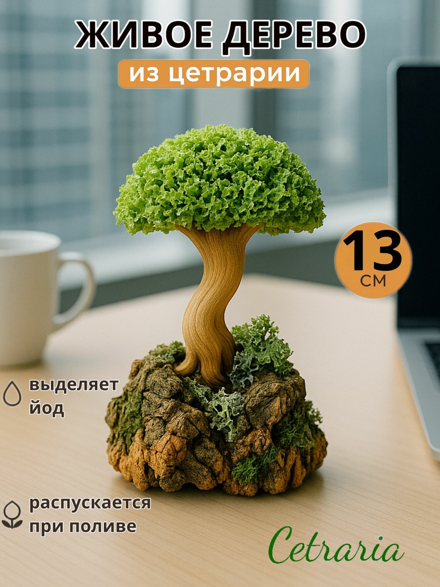 Статуэтка дерево из цетрарии