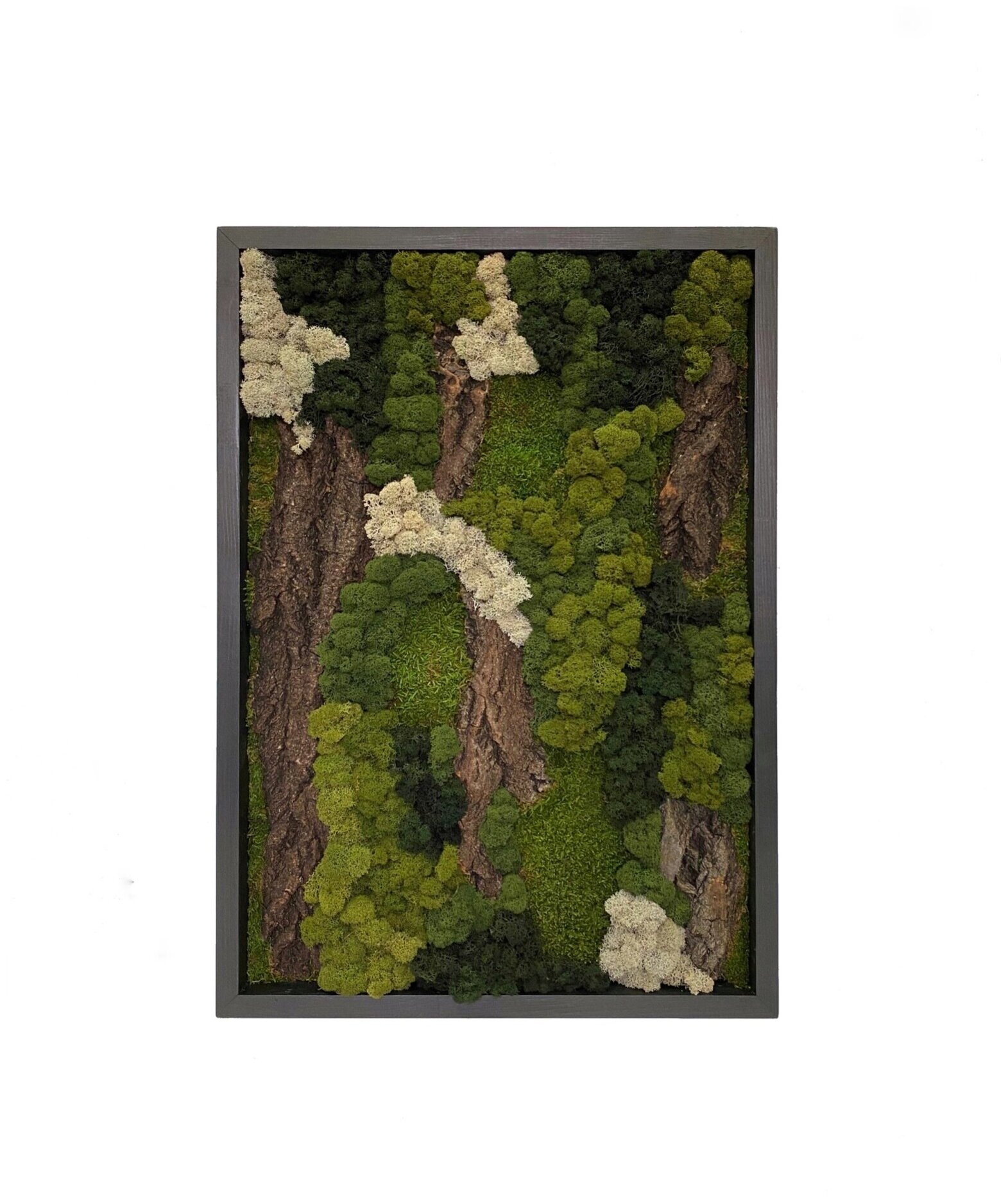 Картина Дом мха "Wooden Art", настенная, стабилизированный мох, 50x70 см