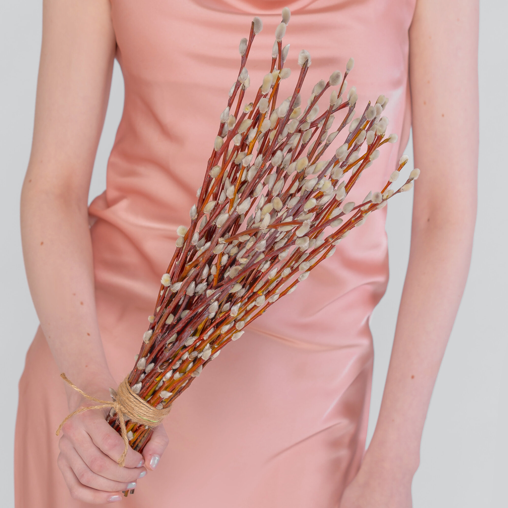 Букет Мегацвет24 "Верба", 7 пучков, серебристый, под бечевку